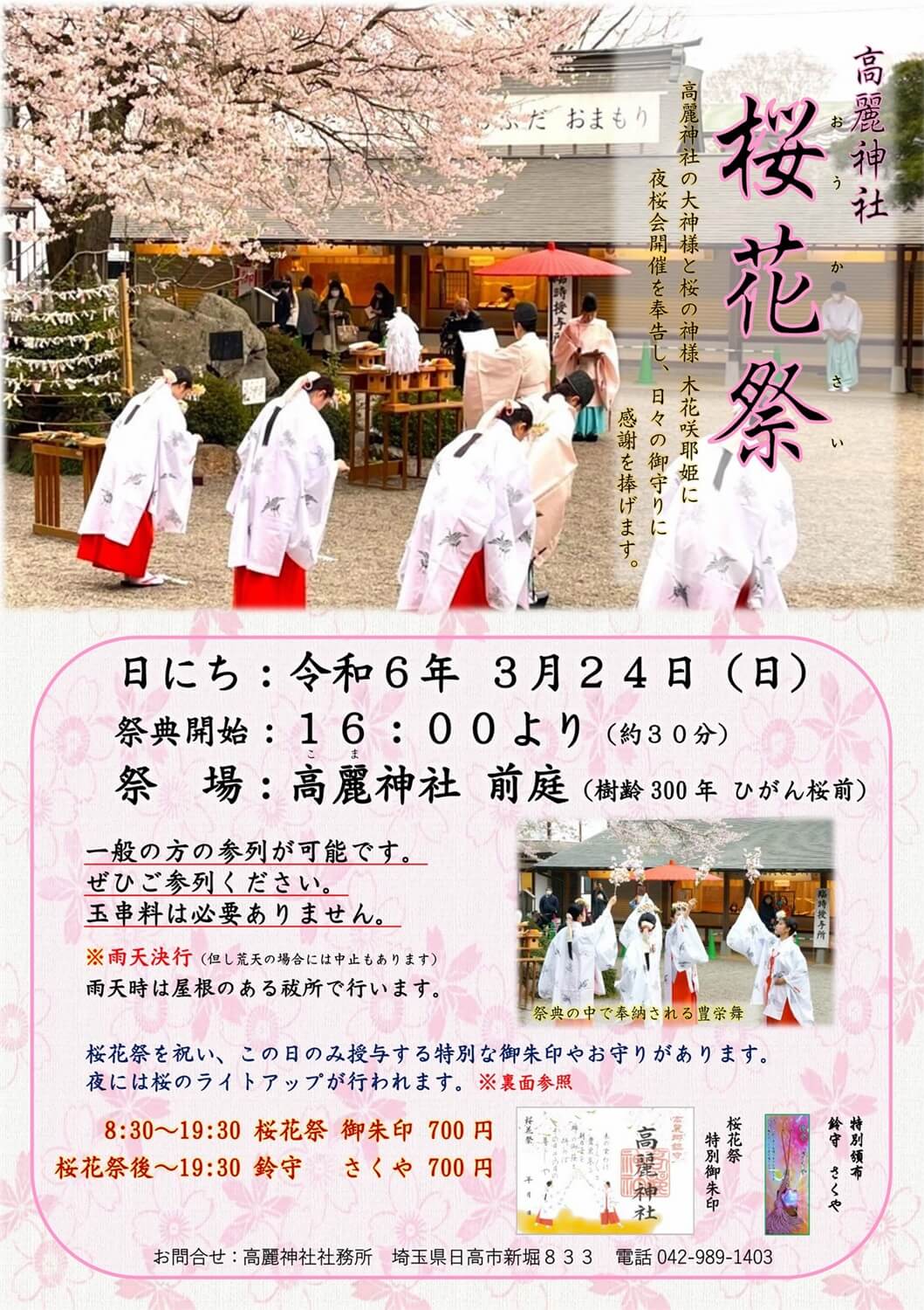 Cherry blossom blessing and one night yozakura at Koma Shrine